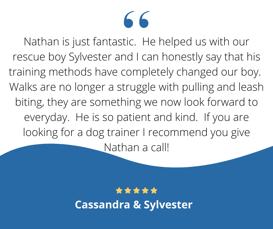 Services – Howling Success Dog Training